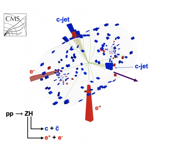 Feynman Diagram Higgs Boson Decay Diagram Media Feynman Diagram Higgs Boson Decay Diagram Media